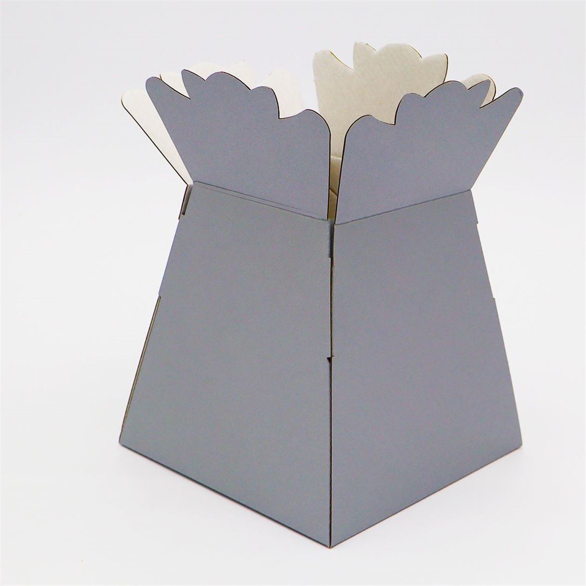 Packaging - Living Vases